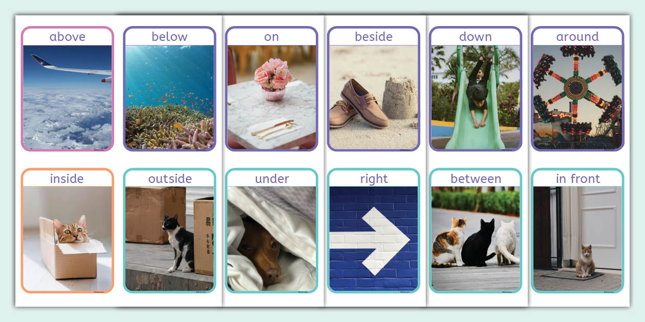 Prepositions Photo Flashcards (teacher made) - Twinkl