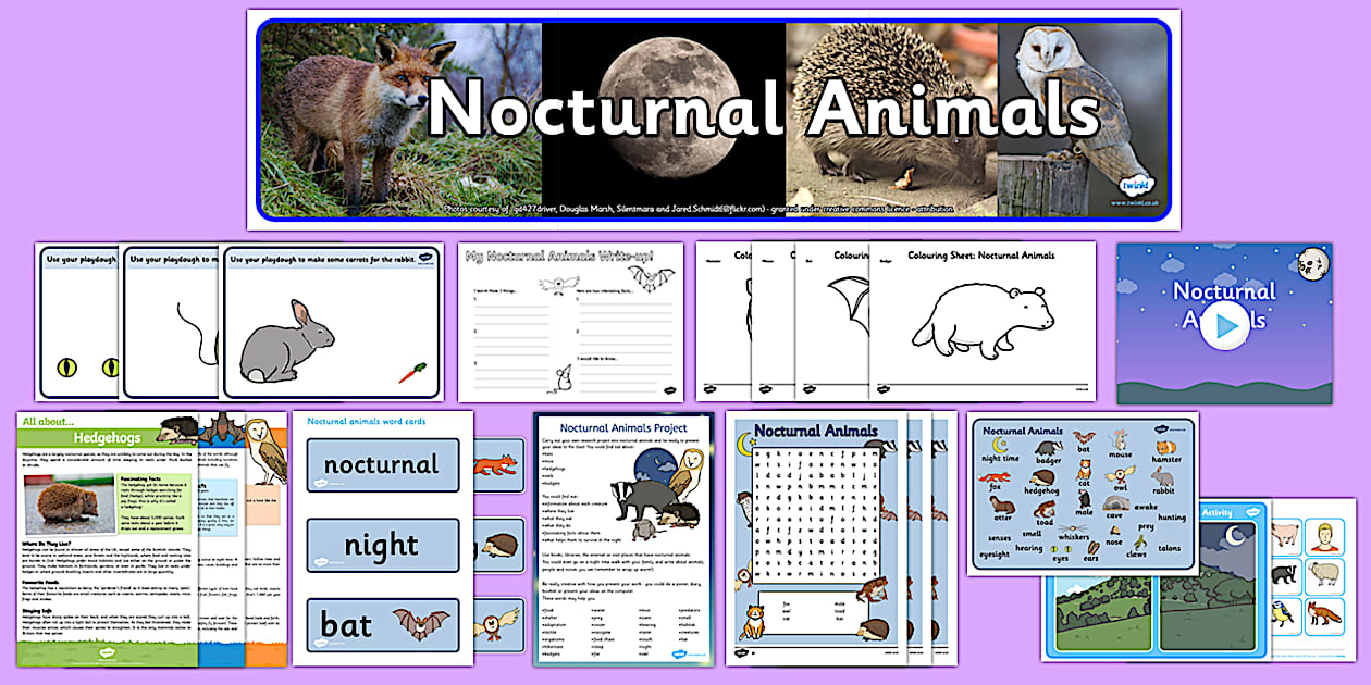 Nocturnal Animals for Kids - Nocturnal animals, resources, activities