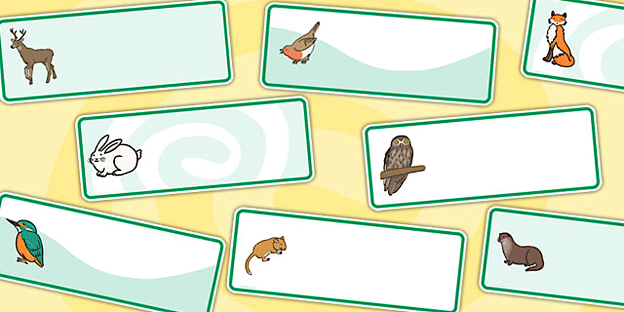 Green Editable Animal Drawer Labels (teacher made) - Twinkl