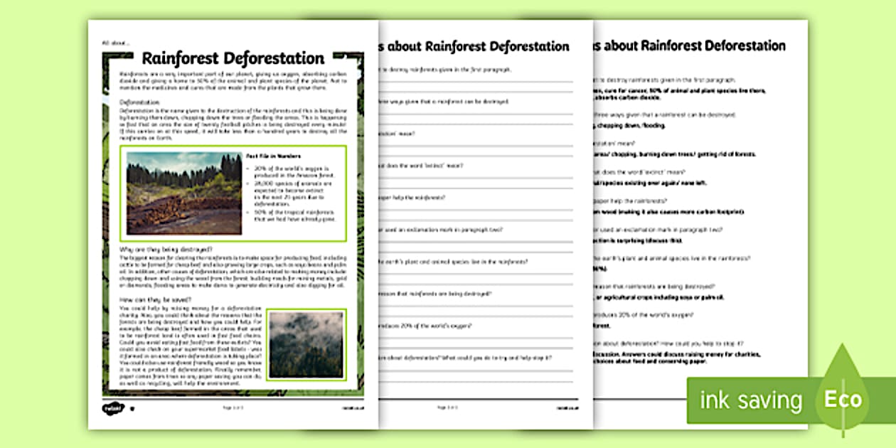 Rainforest Deforestation | Reading Comprehension Activity