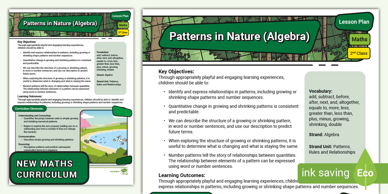 Patterns in Nature (Algebra) Lesson Plan - Twinkl