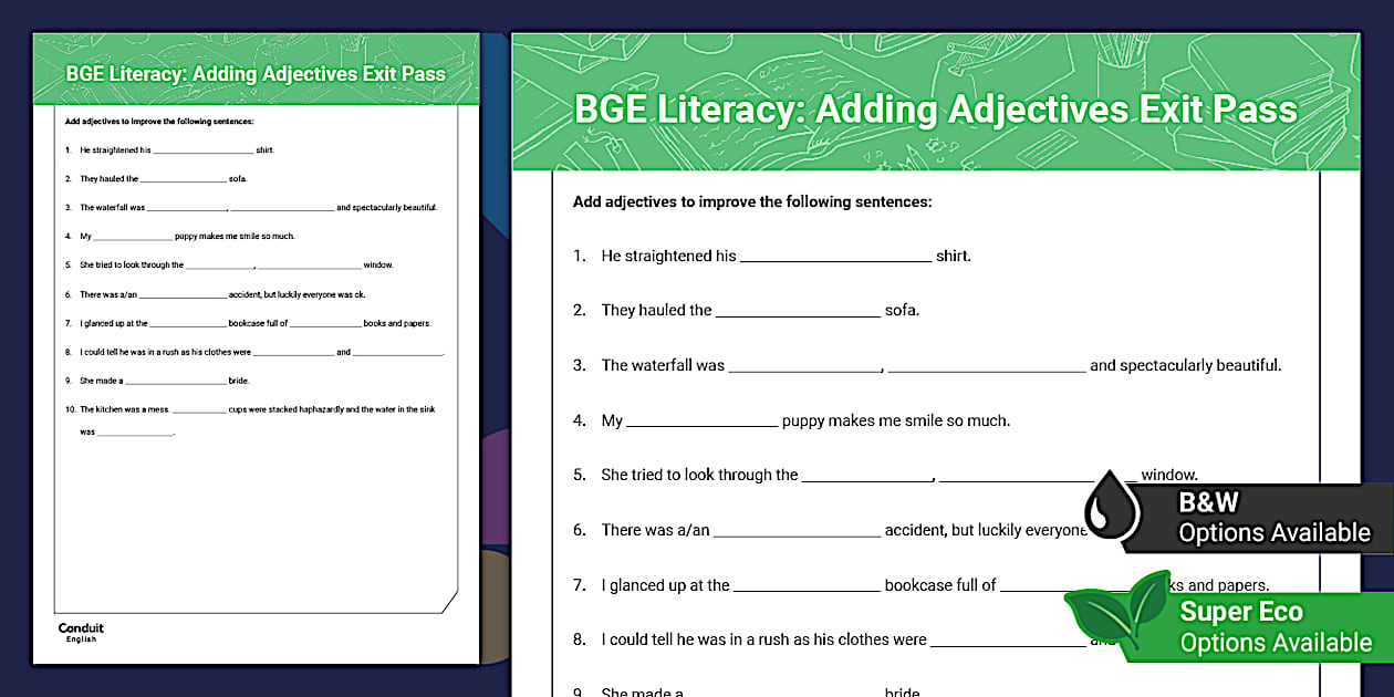 BGE Literacy: Adding Adjectives Exit Pass (teacher made)