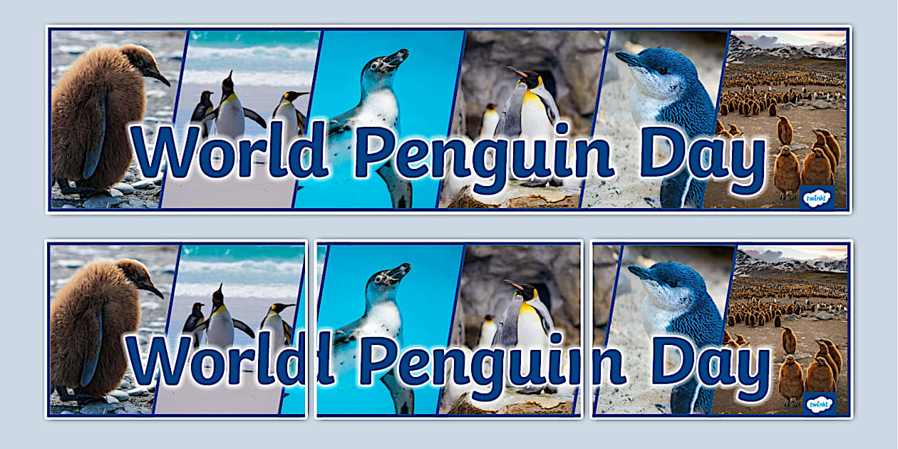 World Penguin Day Photo Display Banner (teacher made)