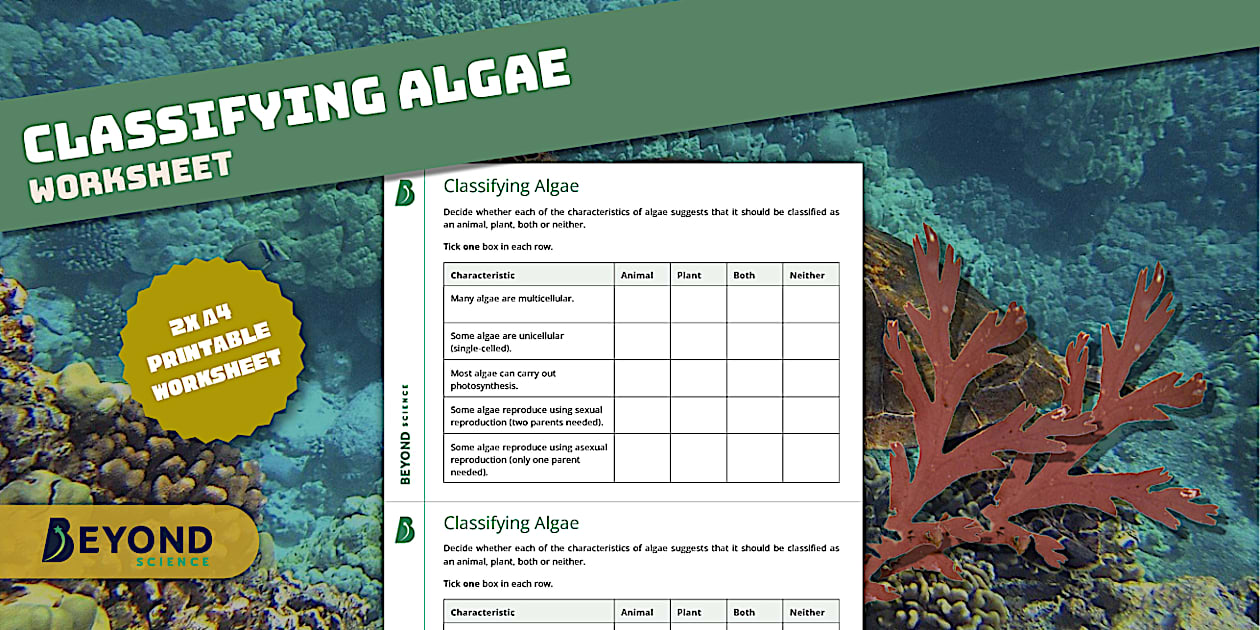 Classifying Algae Worksheet | KS3 Biology | Beyond Science