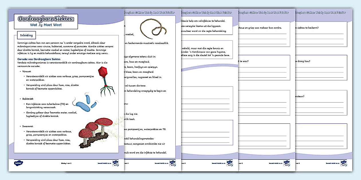 Oordraagbare Siektes Wat Jy Moet Weet Feitekaart - Twinkl