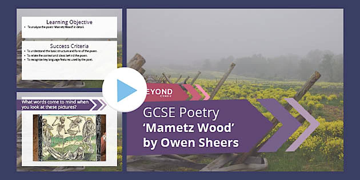 Mametz Wood Presentation by Owen Shears (teacher made)