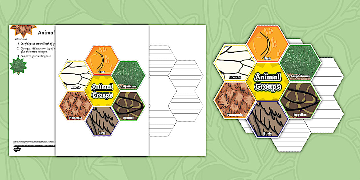 Animal Groups Hexagon Writing Template - Twinkl