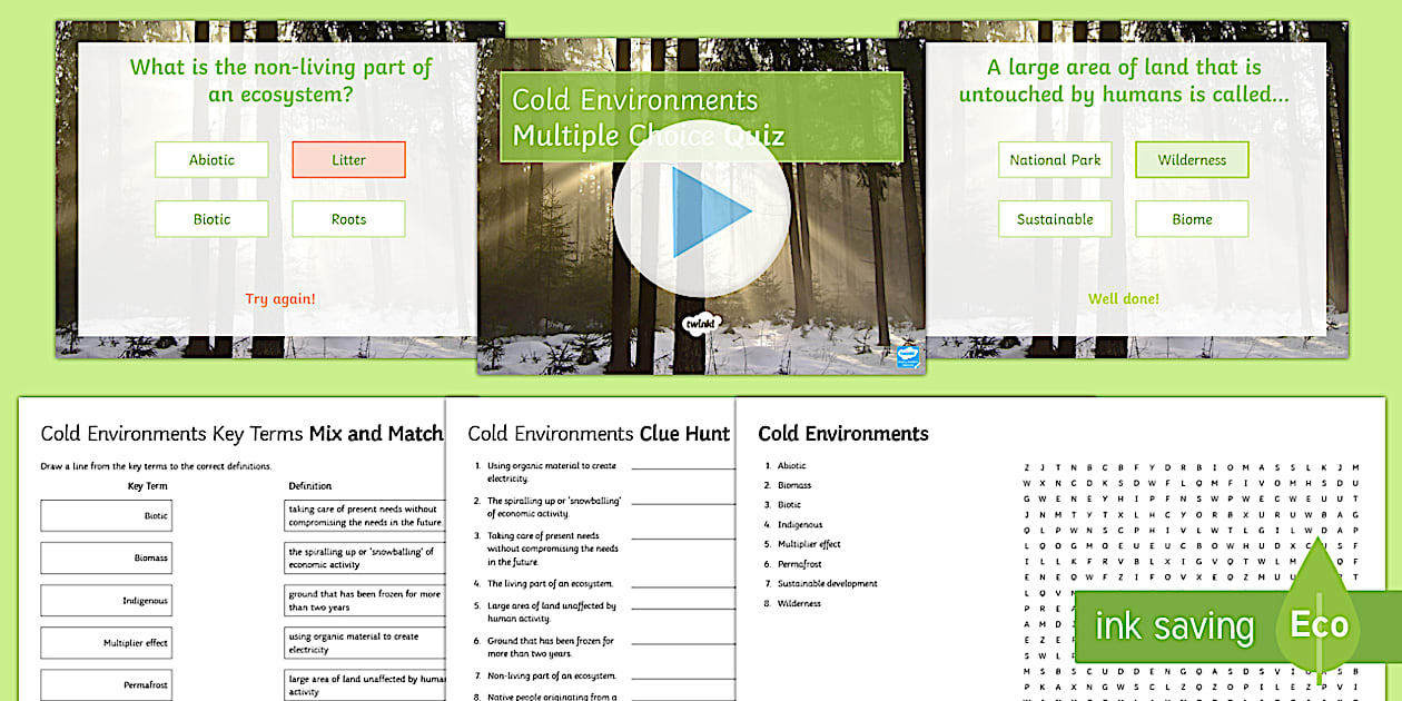 Cold Environments in the UK Activity Pack (teacher made)