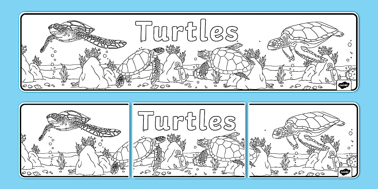 Turtles Colouring Display Banner (teacher made) - Twinkl