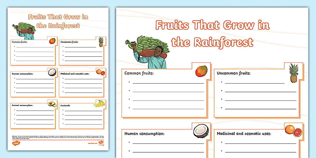 Fruits That Grow in the Rainforest Fact File Template