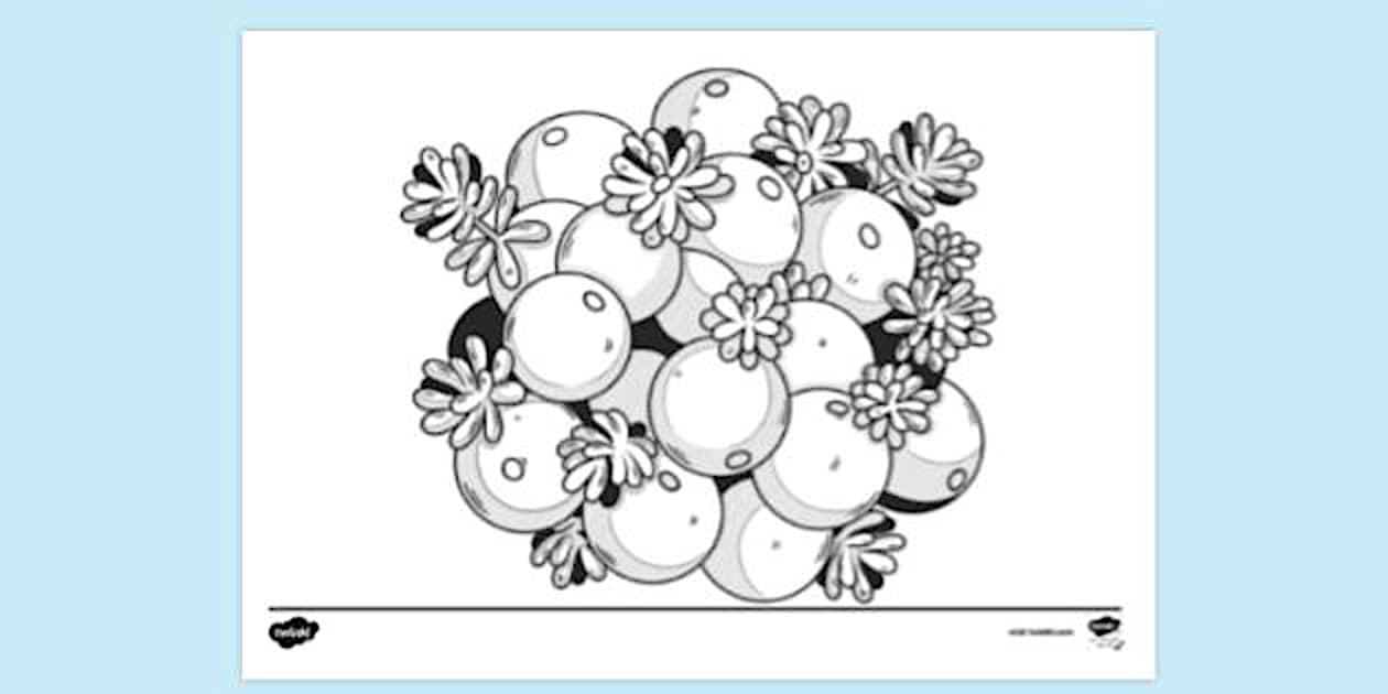 Arctic Blueberries Colouring Sheet (teacher made) - Twinkl