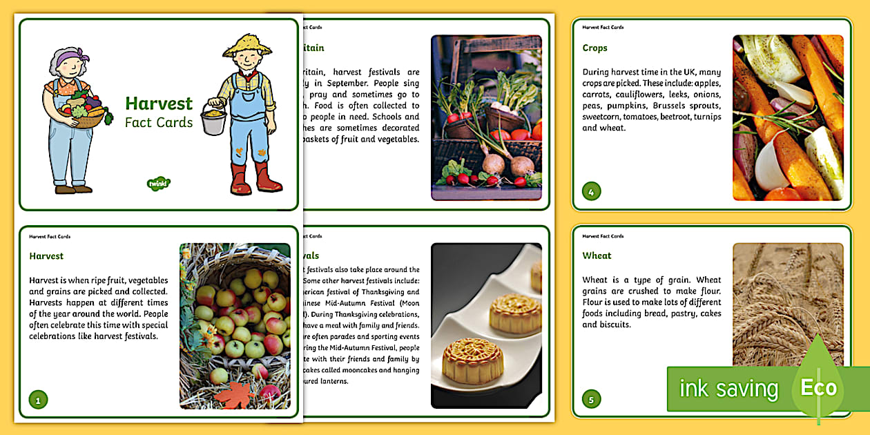 Harvest Fact Cards (teacher made) - Twinkl