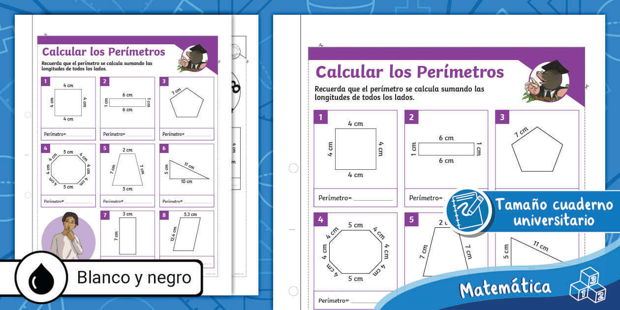 Guía de área y perímetro | Matemáticas | 4º Básico