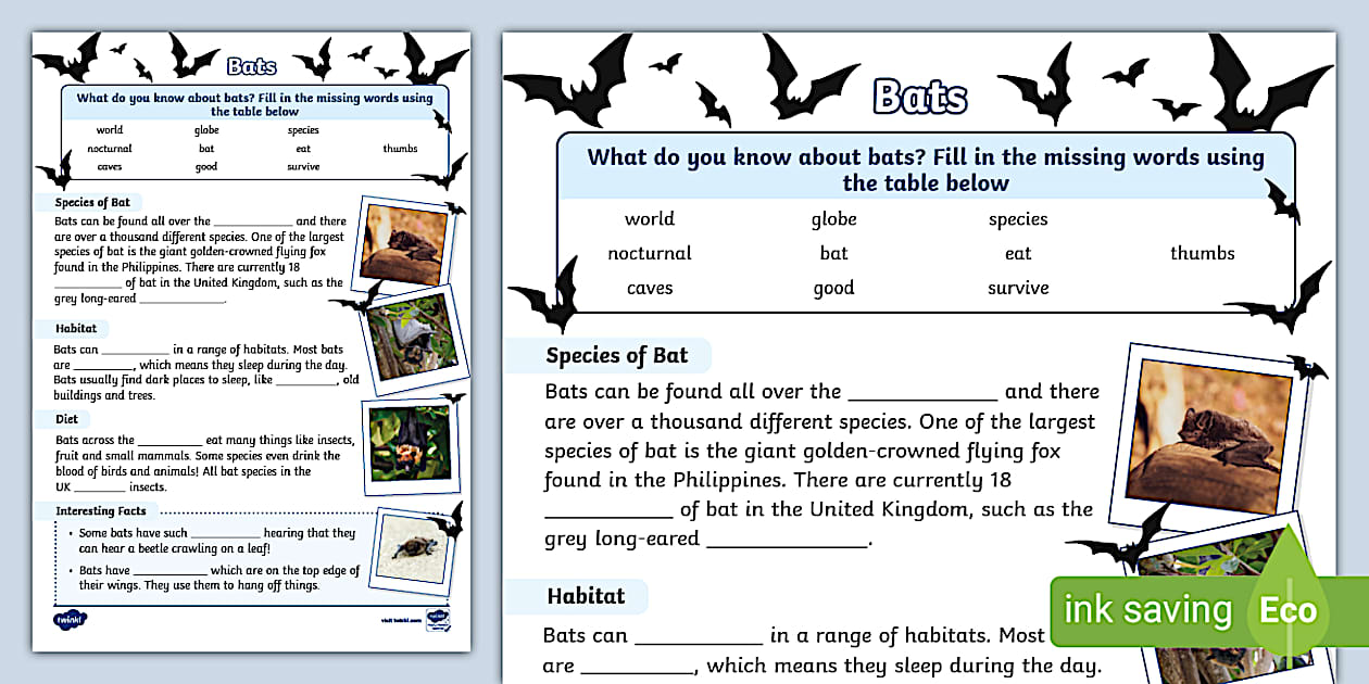 Bats Cloze (teacher made) - Twinkl