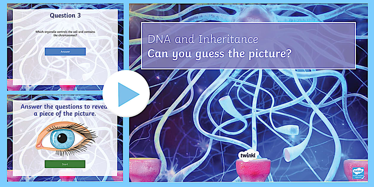 DNA and Inheritance Quiz PowerPoint (teacher made) - Twinkl