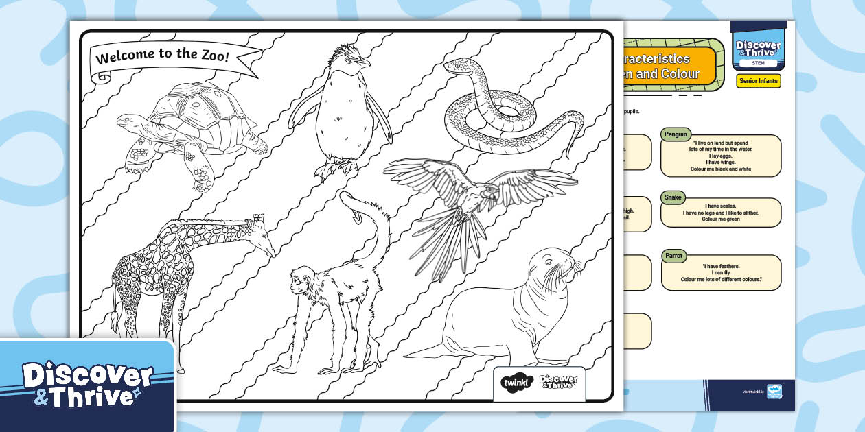 STEM (Living Things) Zoo Animal Characteristics Who Am I? Listen and Colour