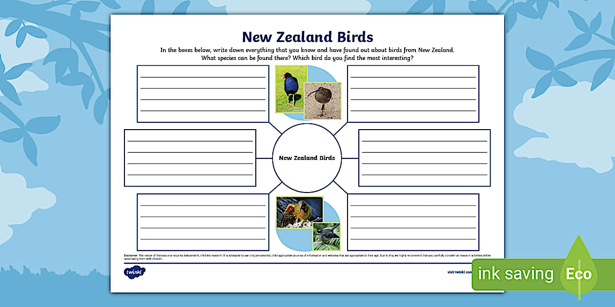 New Zealand Birds Mind Map (Teacher-Made) - Twinkl