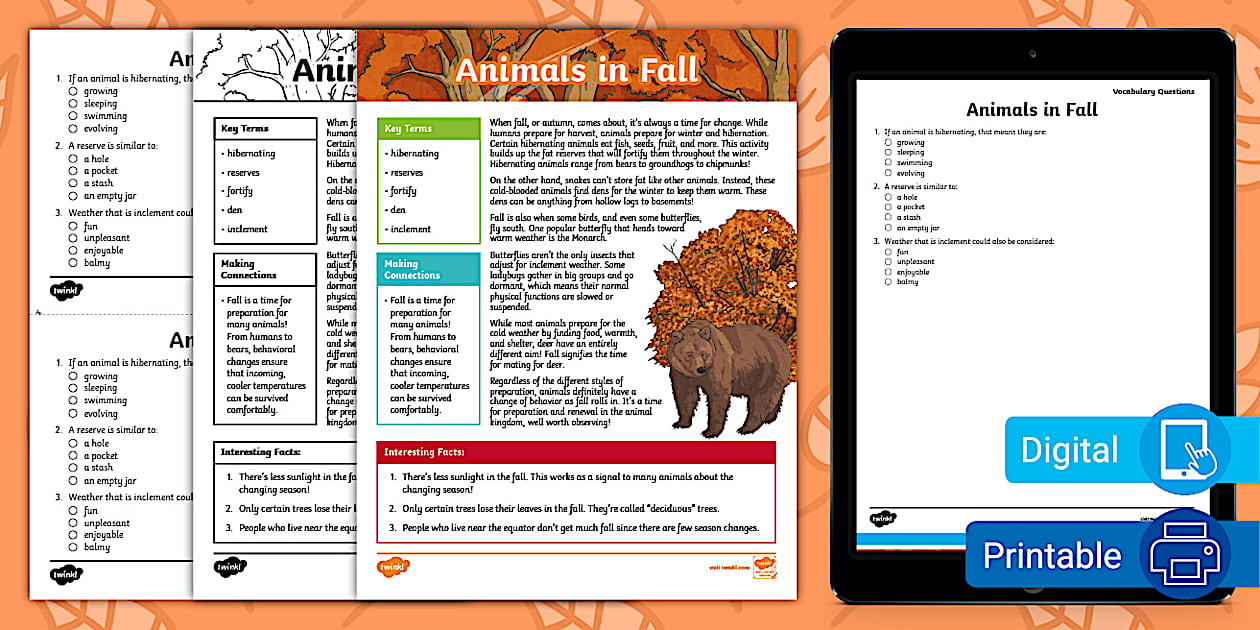 Fall Animals Fact File and Vocab | Resource | Twinkl USA