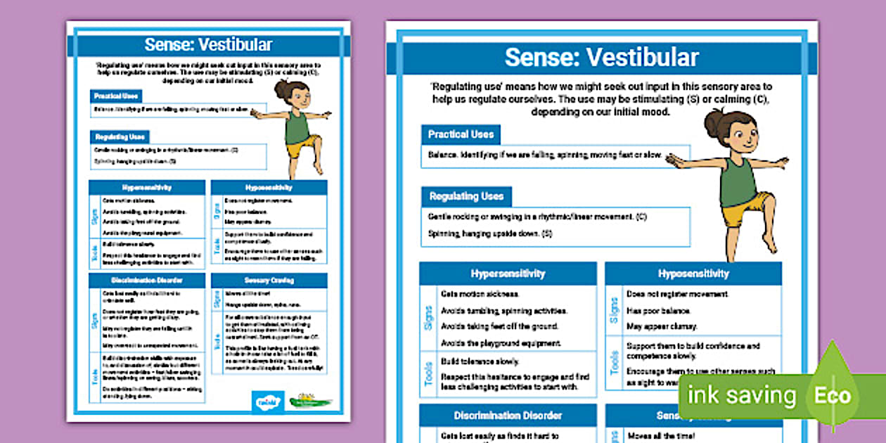 Classroom Vestibular Sense Poster - Teaching Resources