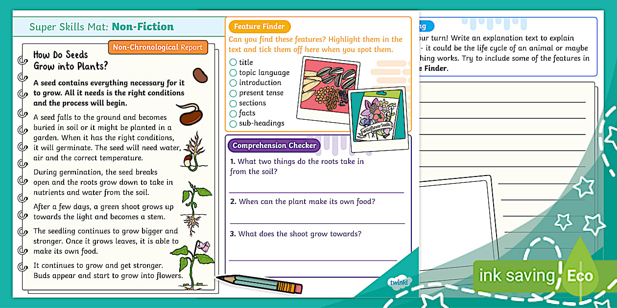 Super Skills Mat: Explanations: How Do Seeds Grow into Plants? (Ages 5 - 7)