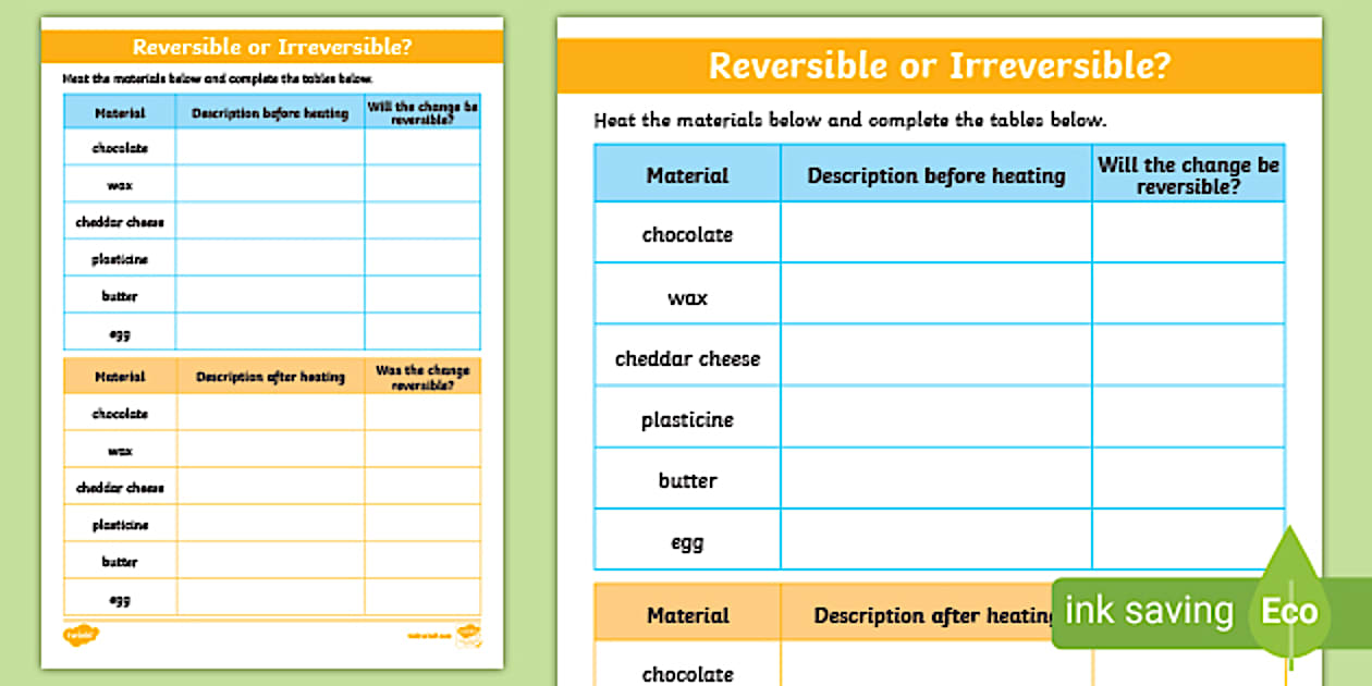 Editable Heating Reversible or Irreversible Worksheet