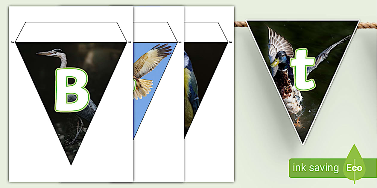 British Birds Photo Display Bunting (teacher made) - Twinkl