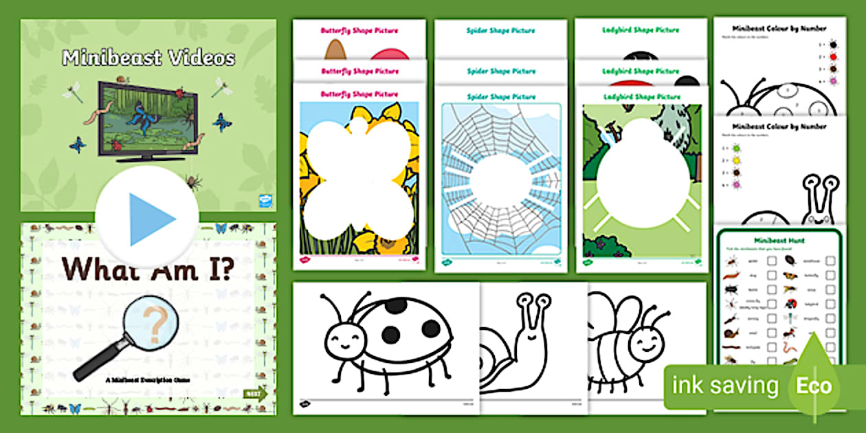 Cool Activities Senior Infants Minibeasts
