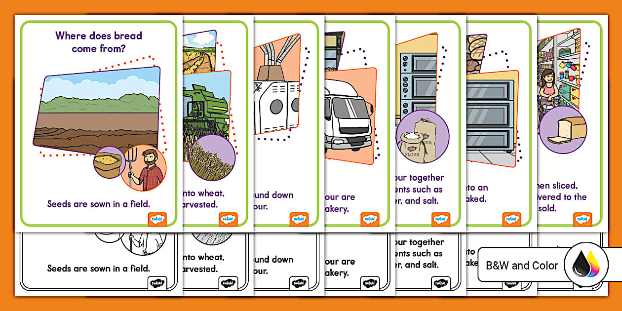 The Journey of Bread From Farm to Table Posters for K-2 Grad