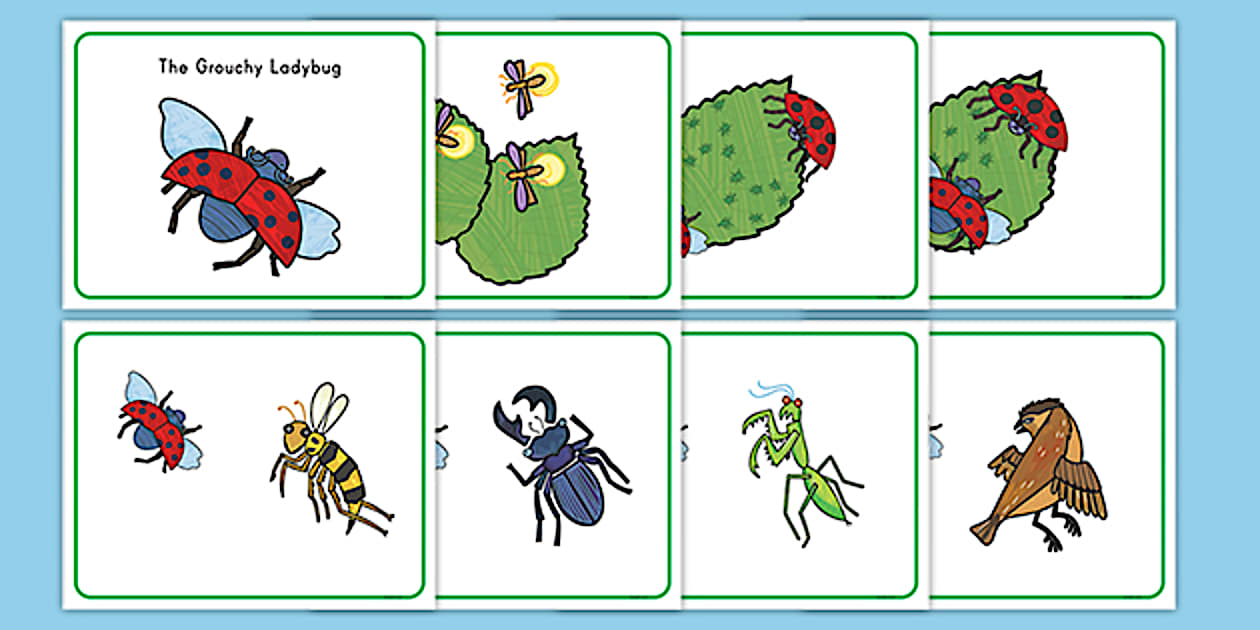The Grouchy Ladybug Story Cards (teacher made) - Twinkl