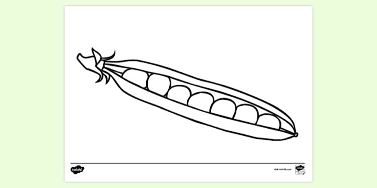 Pea Pod Colouring | Colouring Sheets (teacher made) - Twinkl