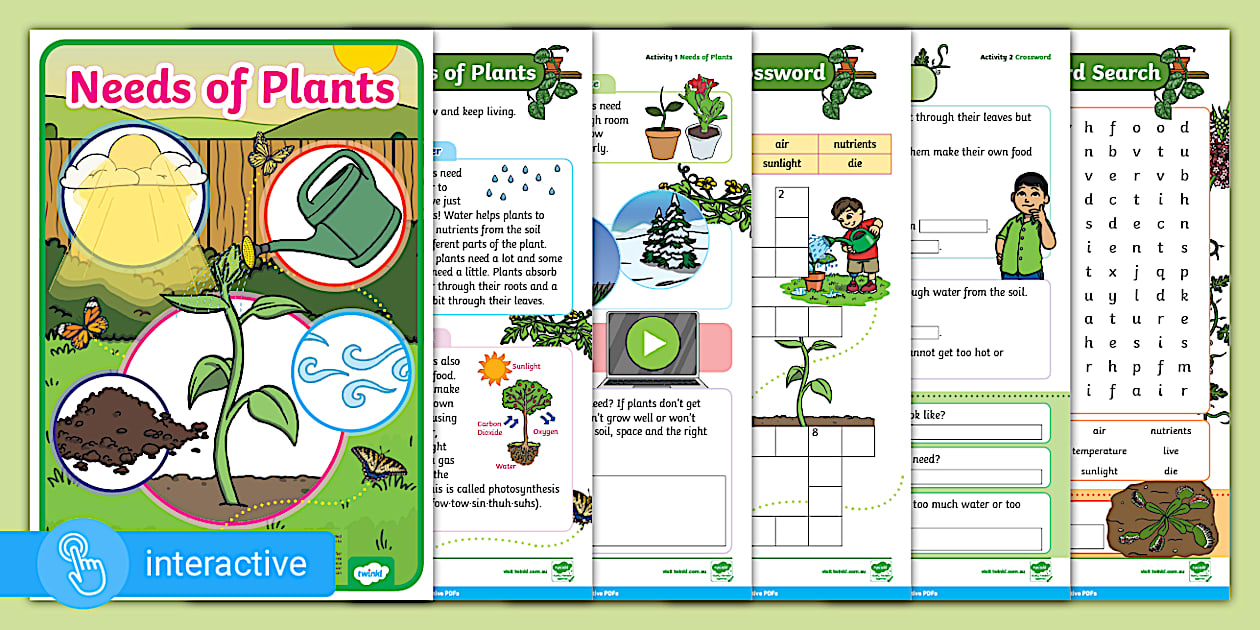 What Do Plants Need? Interactive PDF Activity Pack - Twinkl