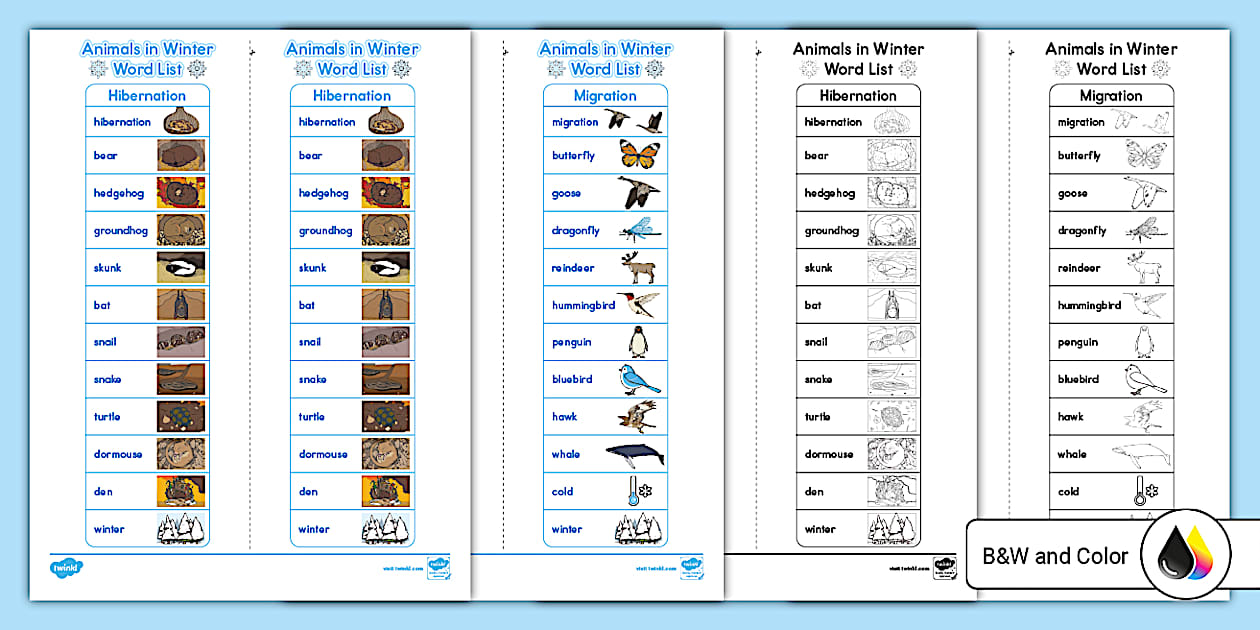 List of Winter Animals | Winter | Twinkl USA (Teacher-Made)