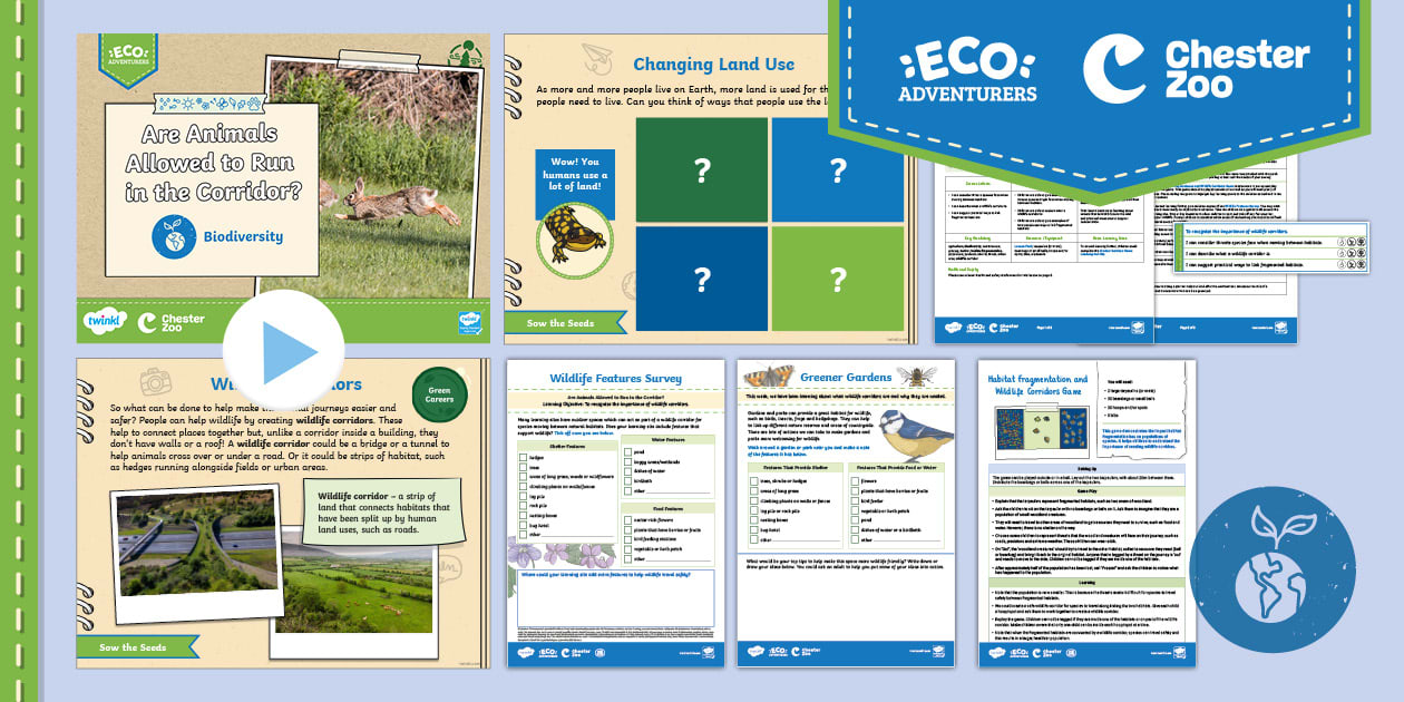 FREE! - Year 4 Biodiversity: Lesson 2 - Are Animals Allowed to Run In the