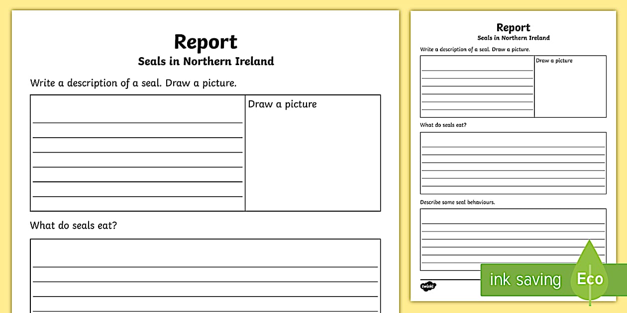 Grey Seals in Northern Ireland Report (Hecho por educadores)