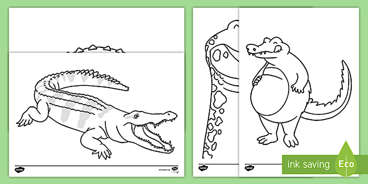 Editable Crocodile Colouring Pages (teacher made) - Twinkl