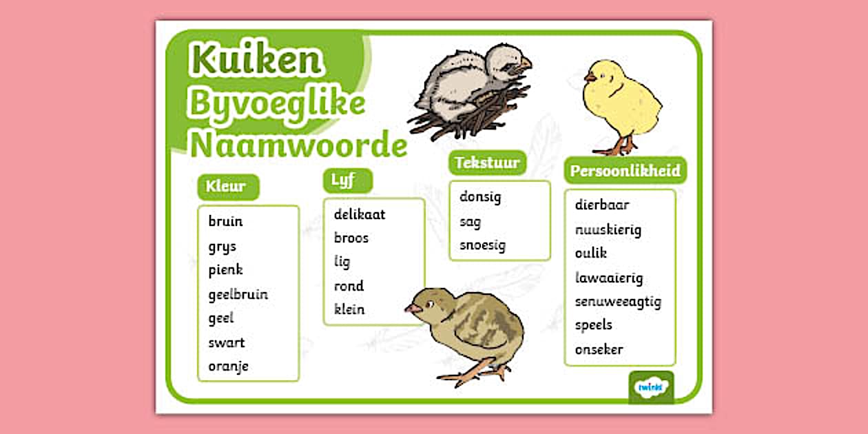 Kuiken Byvoeglike Naamwoorde Woordmat