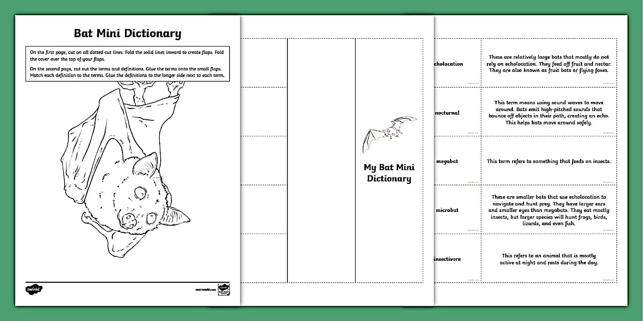 Bat Mini Dictionary Worksheet (teacher made) - Twinkl