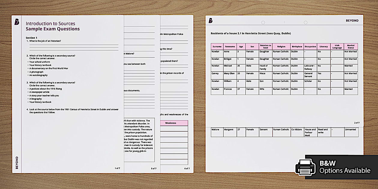 The Job of an Historian Assessment Questions (teacher made)