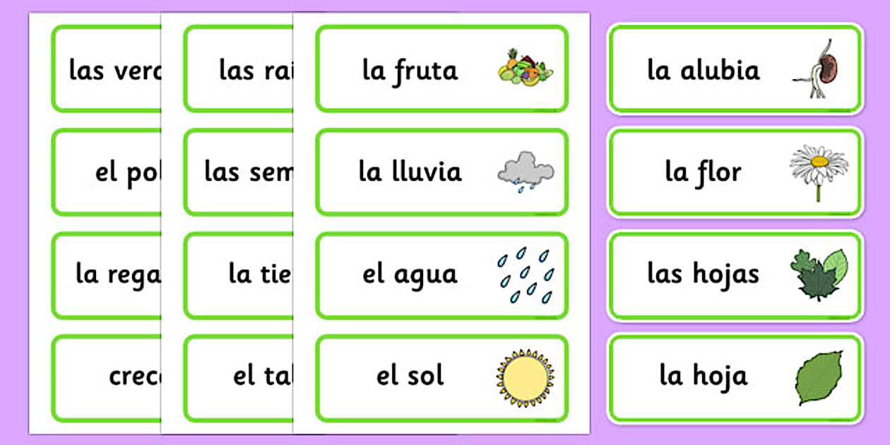 Dyslexic Growth Topic Word Cards Spanish (teacher made)