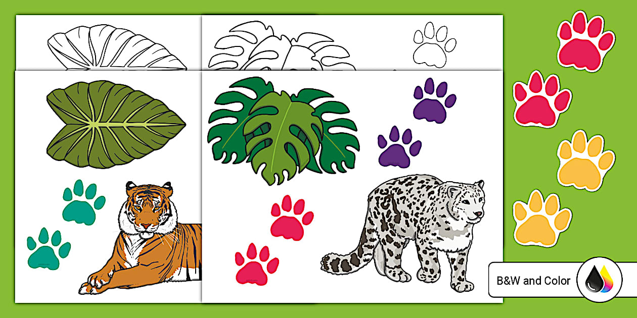Wild About Learning Theme Cutouts (teacher made) - Twinkl