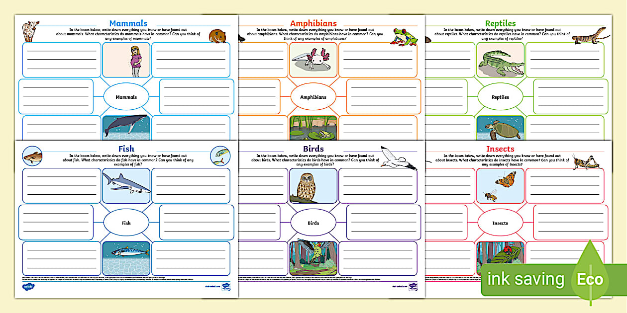 Animal Groups Mind Map Pack, Animal Classification Pack