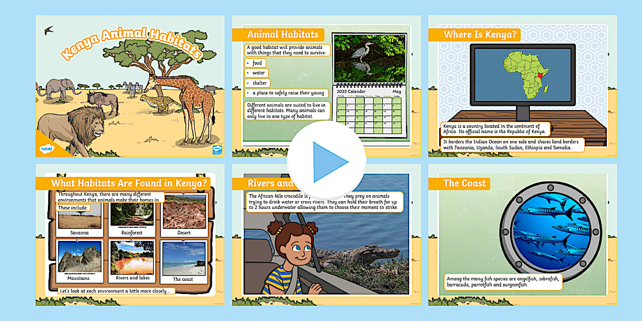 Kenya Animal Habitats PowerPoint - KS1 - Twinkl