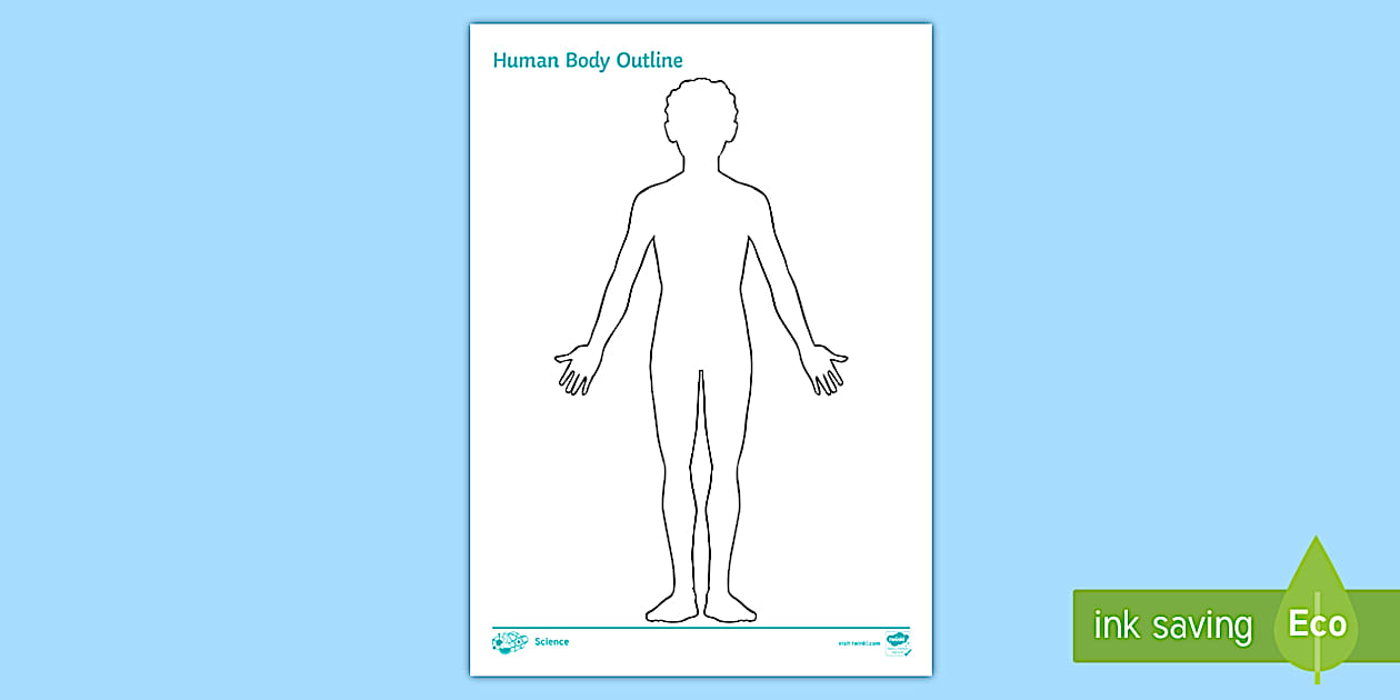 Single Body Outline Worksheet - KS3 (teacher made) - Twinkl