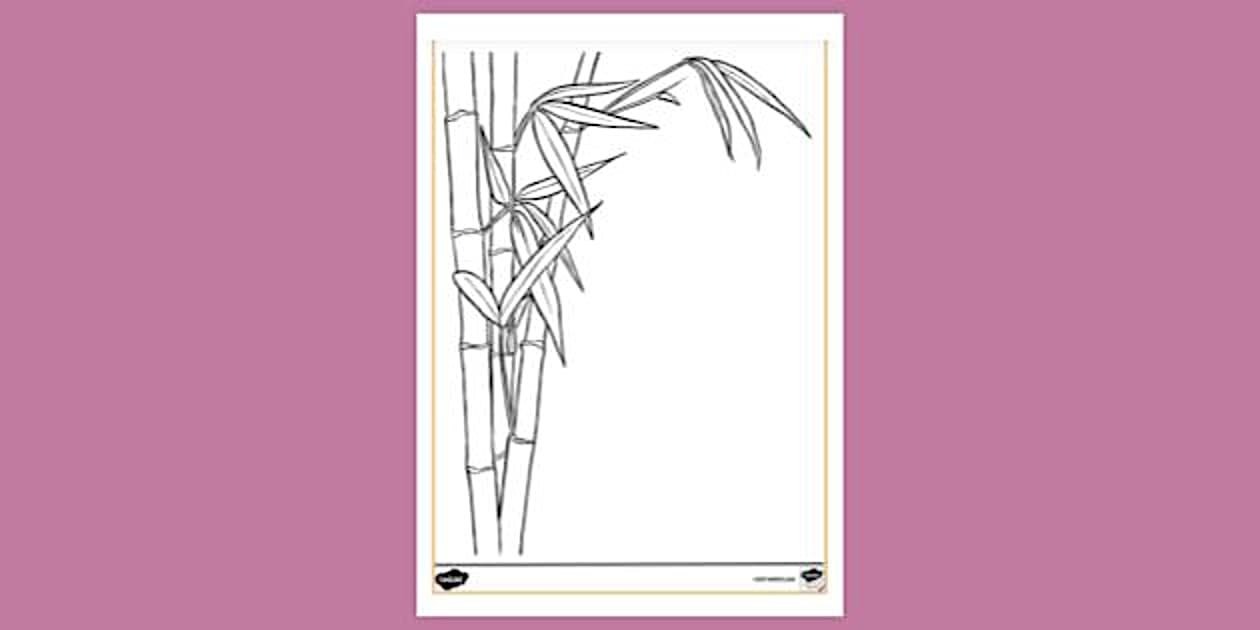 Bamboo Colouring Page | Colouring Sheets (teacher made)