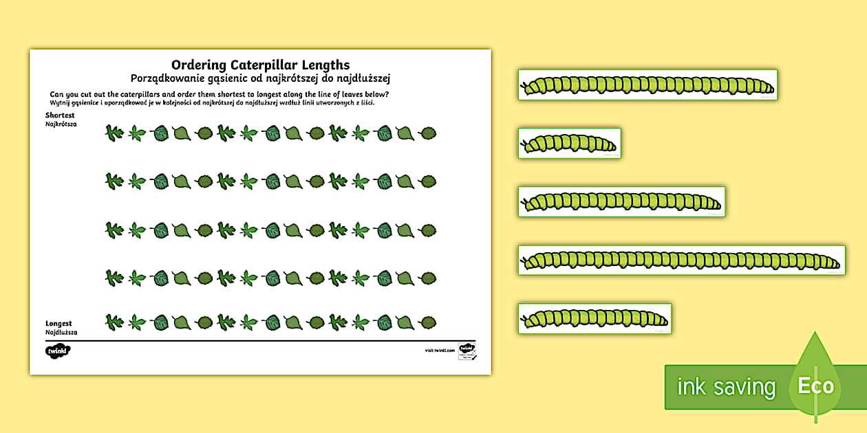 Ordering Caterpillar Lengths Activity Pack English/Polish - Ordering