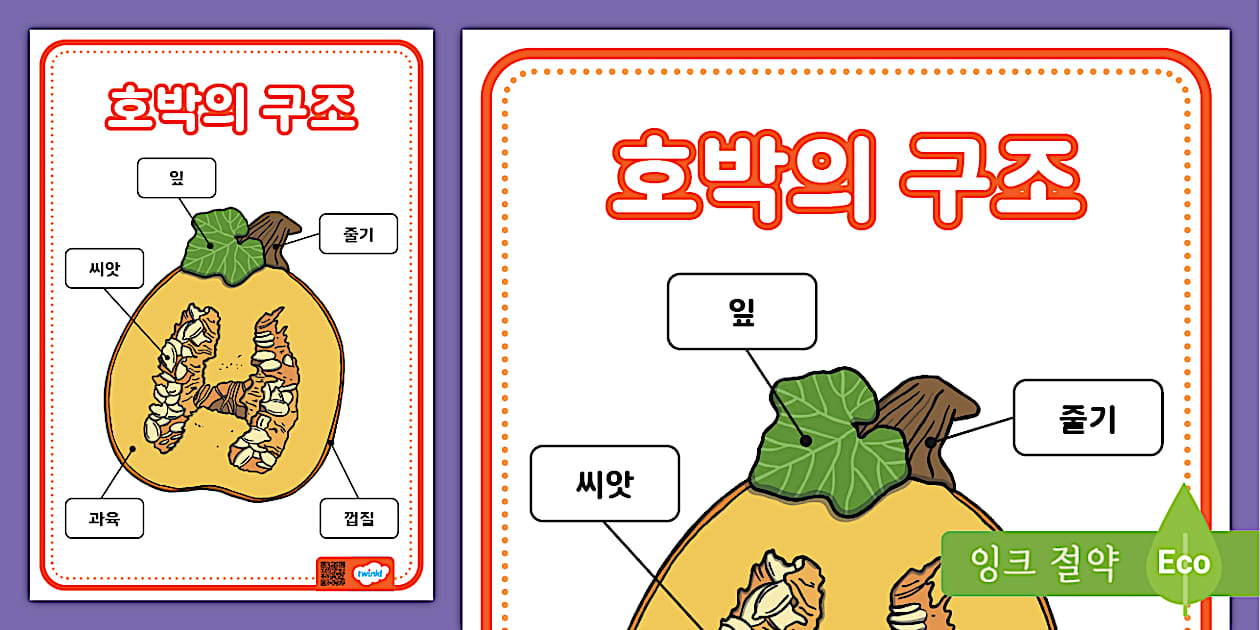 호박의 구조 디스플레이 포스터 Anatomy of a Pumpkin Display Poster
