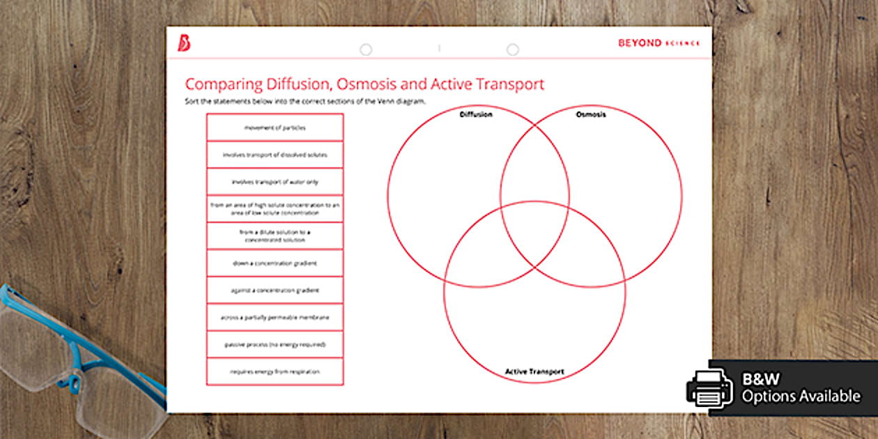 Comparing Diffusion, Osmosis and Active Transport | Beyond