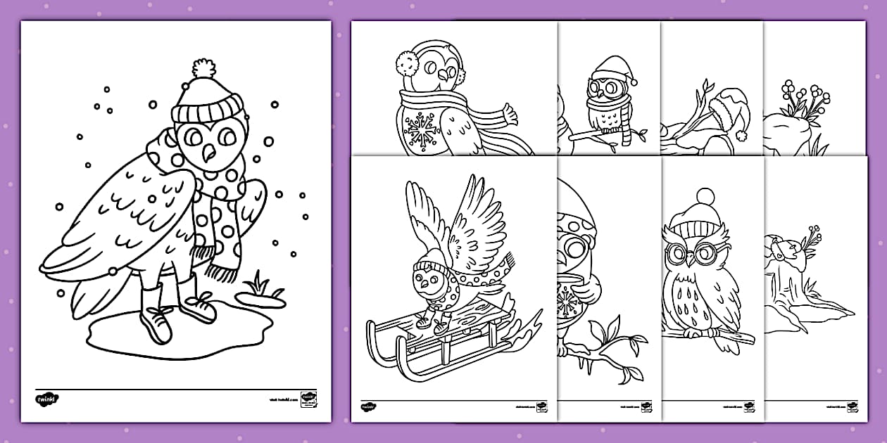 Winter Owl Coloring Sheets (teacher made) - Twinkl