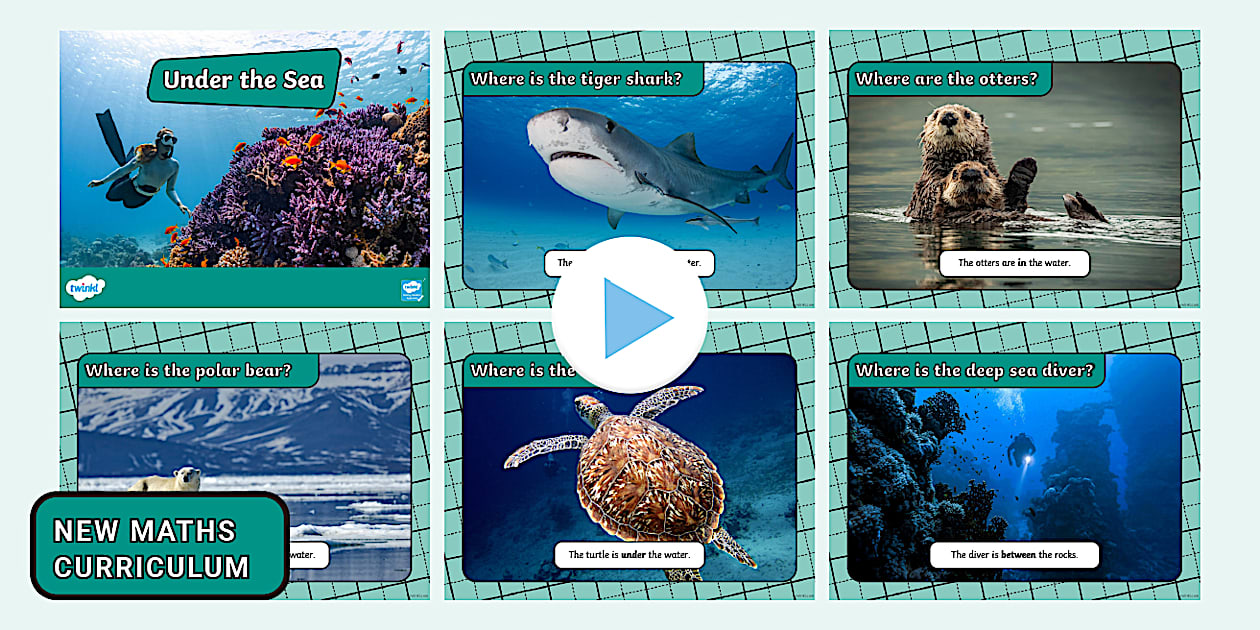 Under the Sea Spatial Awareness PowerPoint (teacher made)