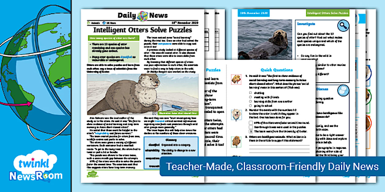 NewsRoom Pack - Otters Solve Puzzles - KS2 Comprehension